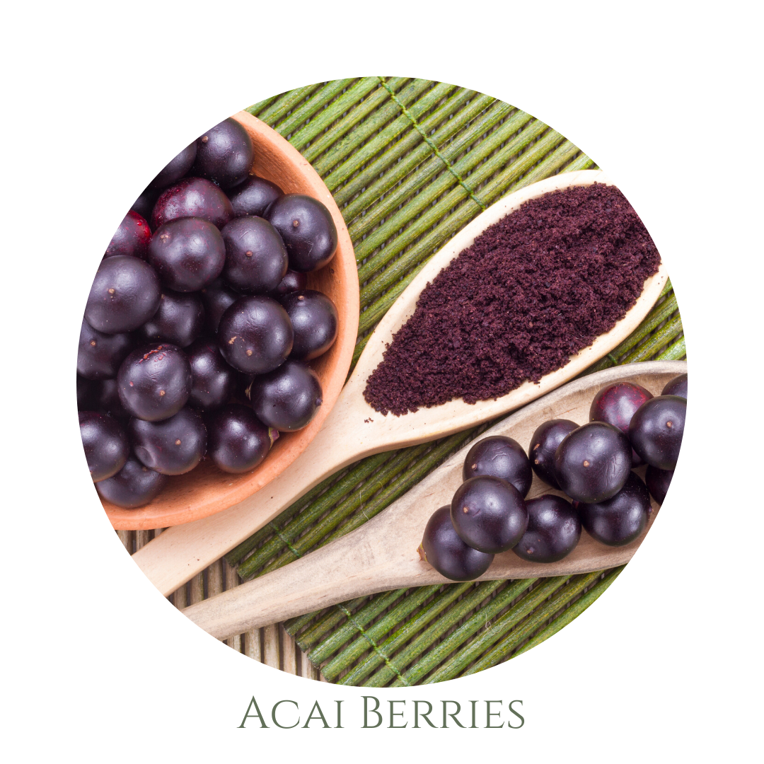 Acai Berries – what puts the “super” in this superfood? – Complementary ...